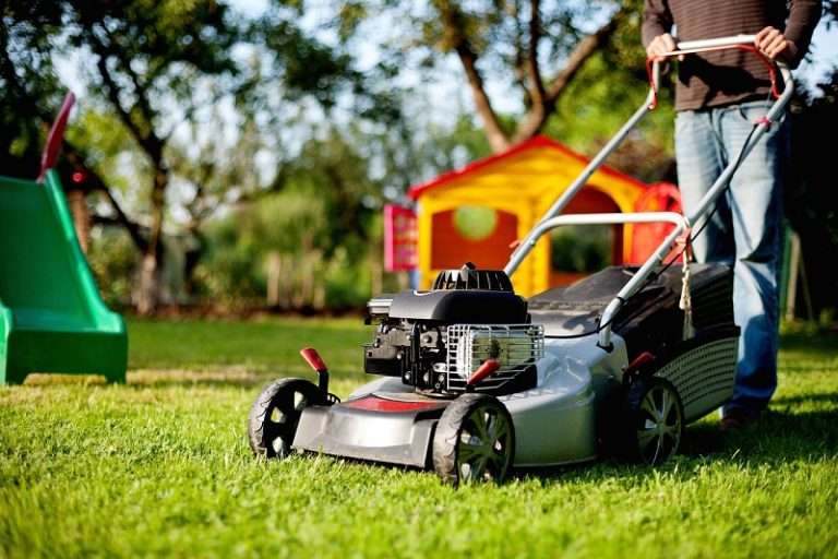 What Is A Mulch Plug And Why Should You Use It? | Mulch Universe