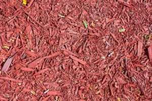 Why Does My Mulch Smell (And Should I Be Worried)? | Mulch Universe