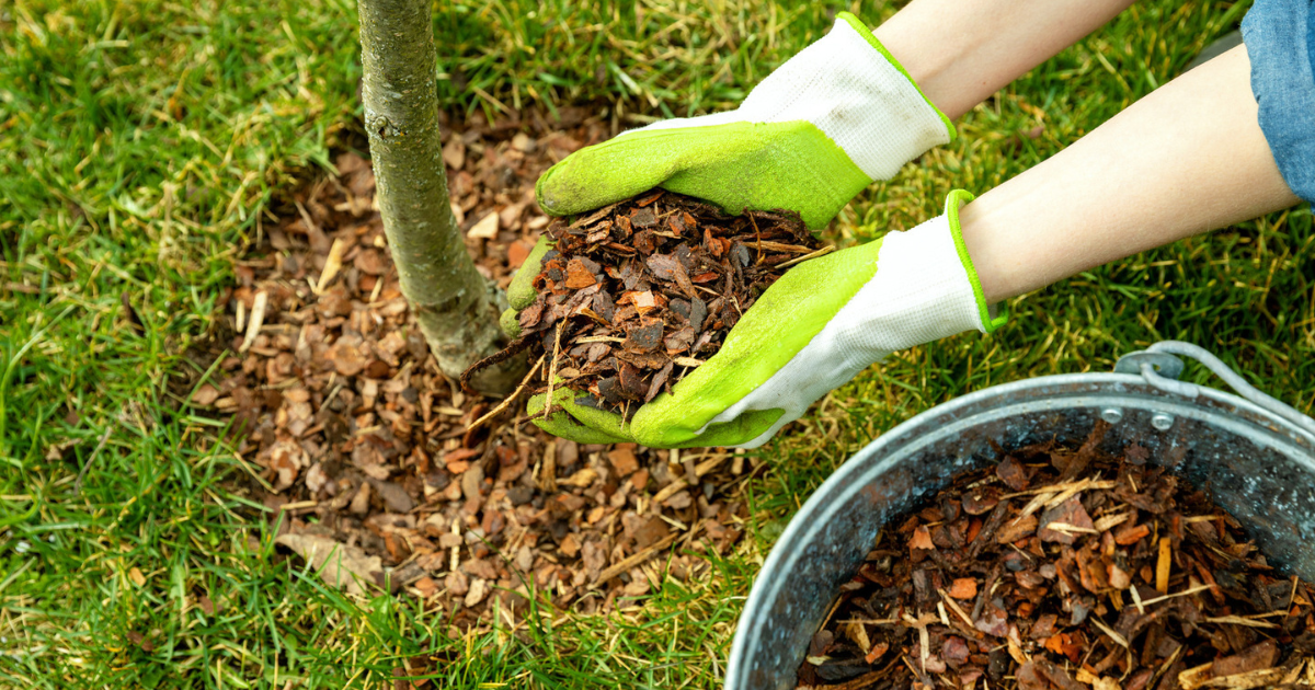 What Is Mulch (And Why Use It?) | Mulch Universe