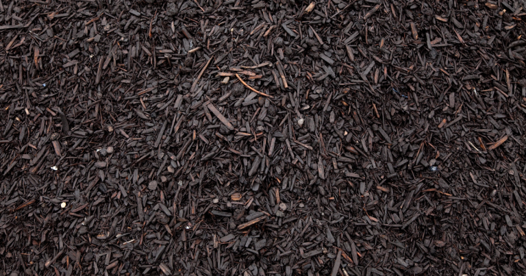 4 Dog-Safe Mulches (And 3 That Are NOT!) | Mulch Universe